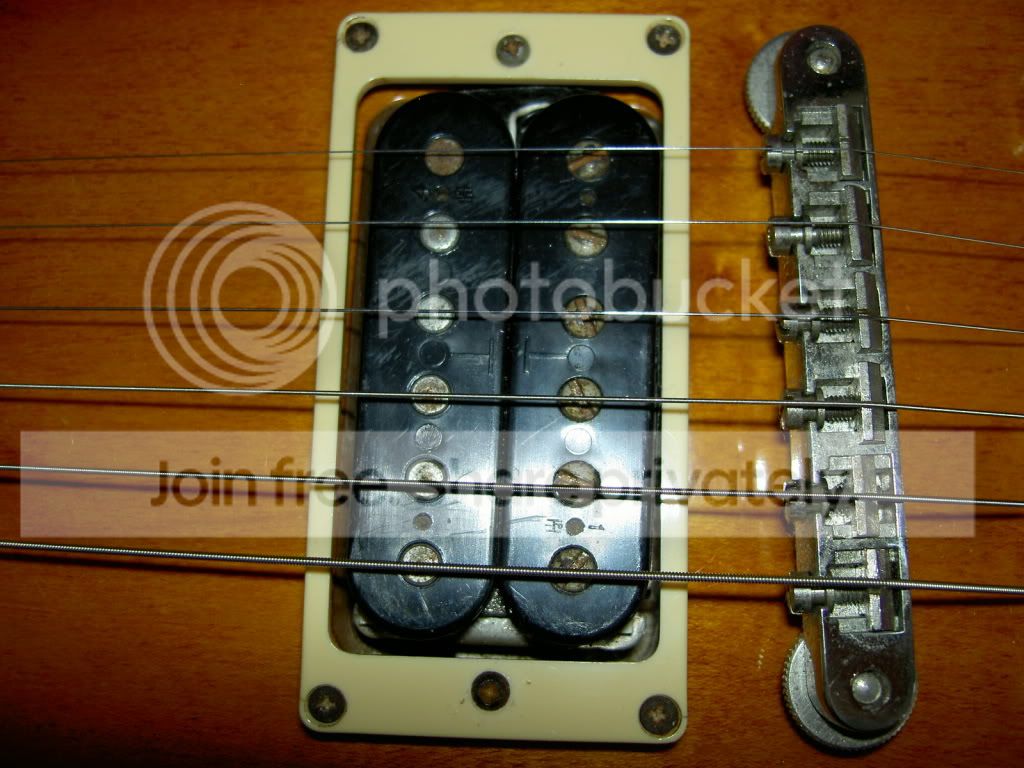 Super Real Limited Edition? | Tokai & Japanese Guitar Forum