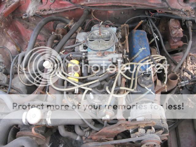 77 mustang ll /might be a mach1 | Ford Muscle Cars Tech Forum